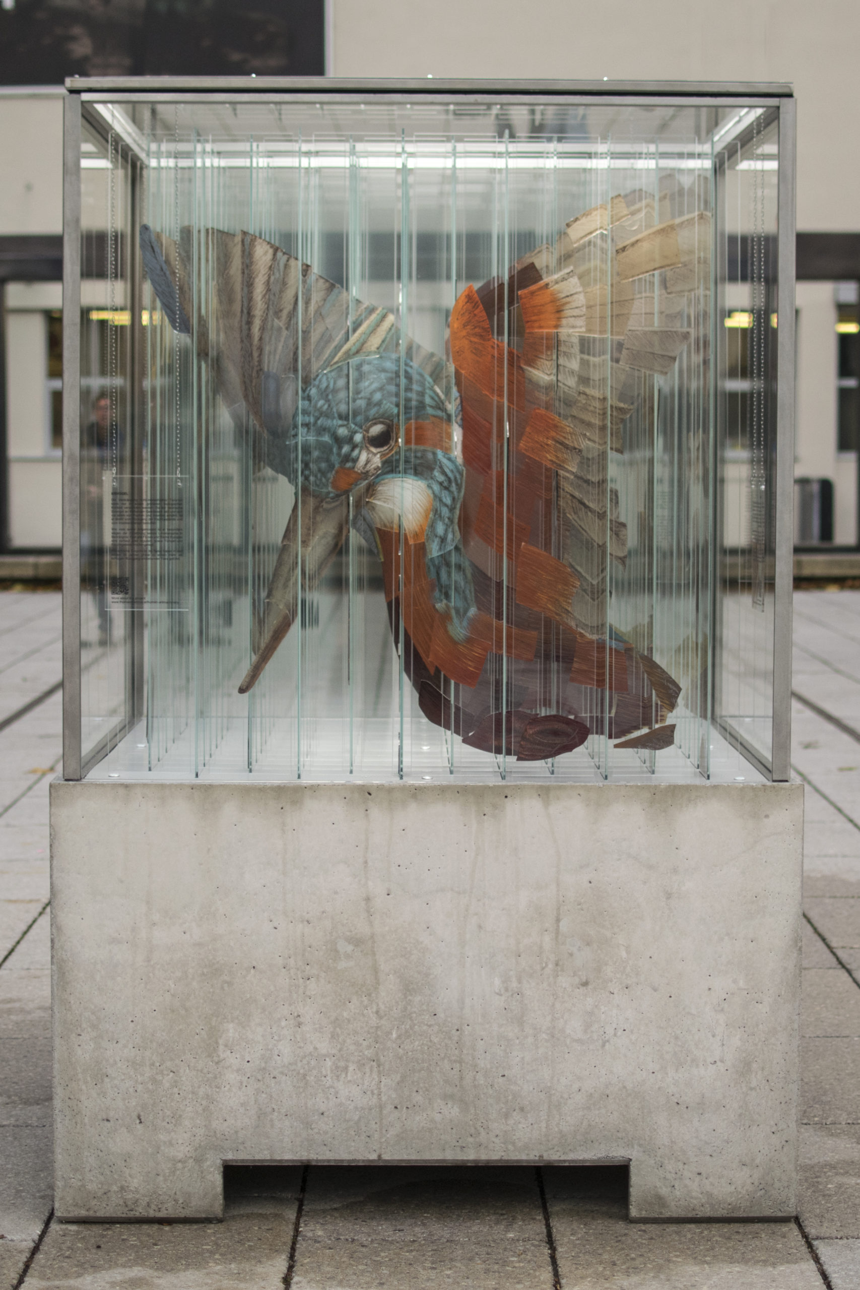Endangered Animals Dissolve and Reassemble in Thomas Medicus’s ...
