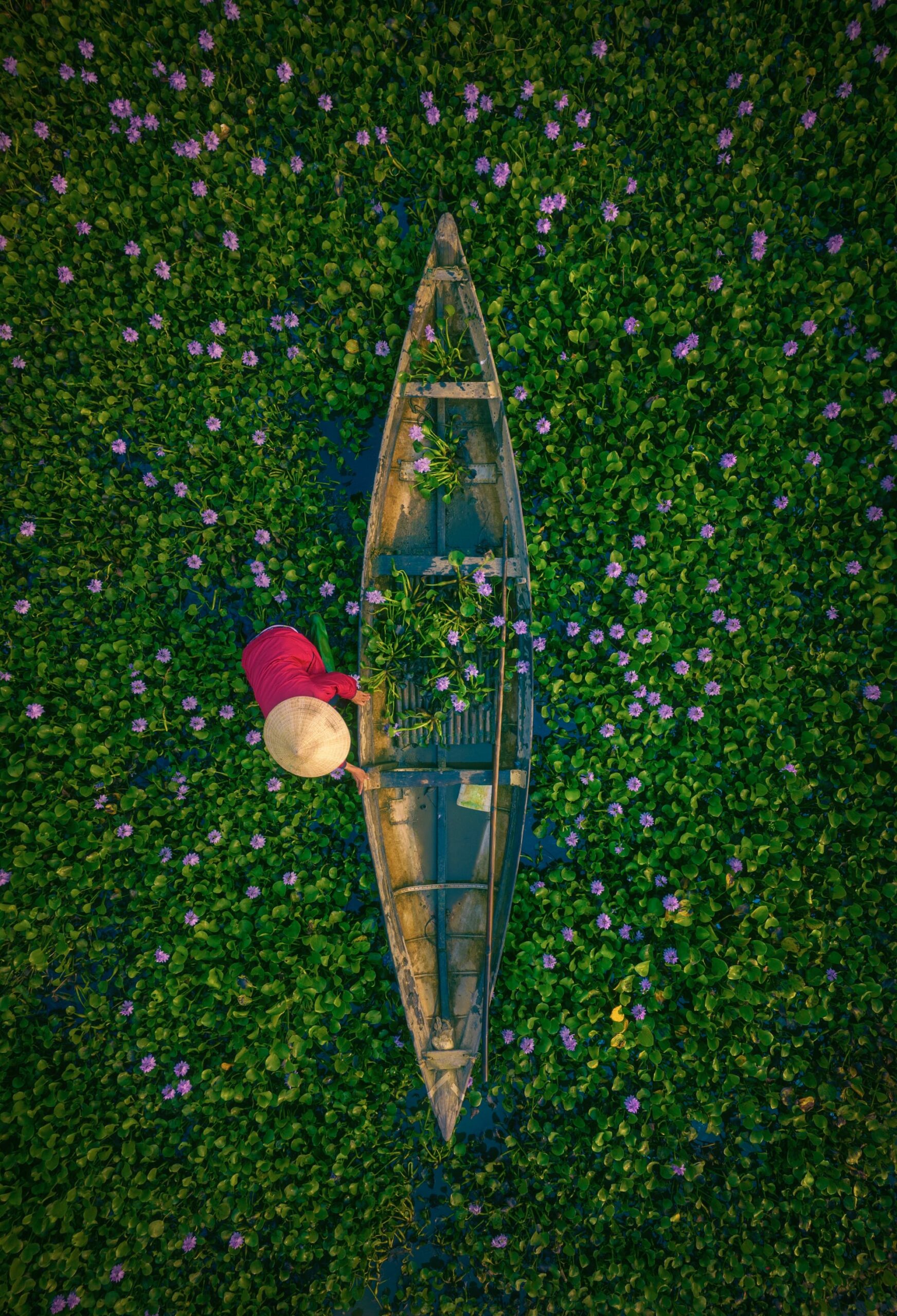 Through Lush Aerial Photos, Pham Huy Trung Documents the Rich Textures ...