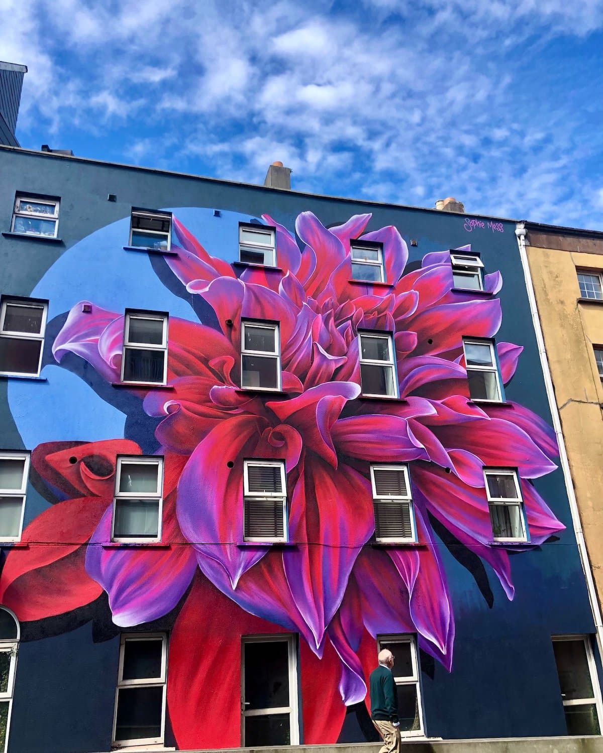Street Artist Transforms Public Spaces With Vibrant Flower Murals | My ...