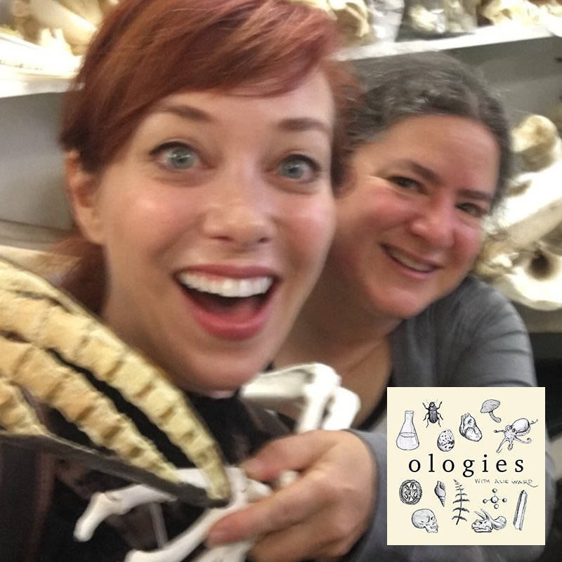 Functional Morphology (ANATOMY) Encore with Dr. Joy Reidenberg | alie ...